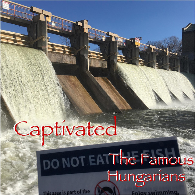 Captivated - Album by The Famous Hungarians | Spotify