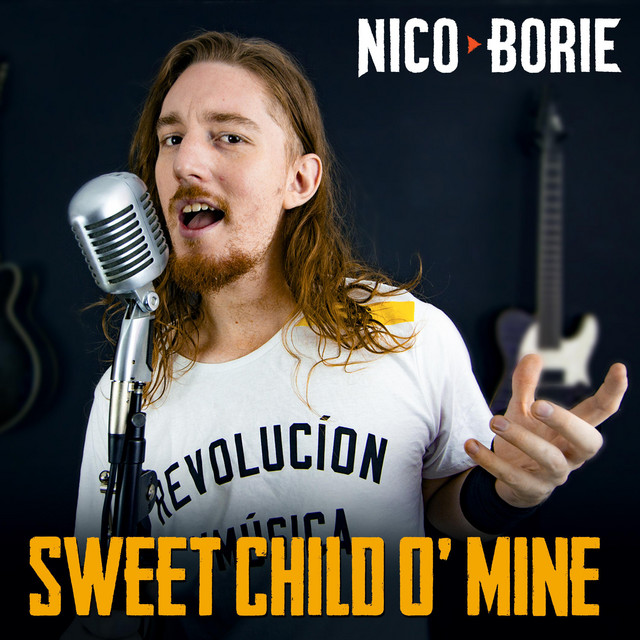Nico Borie - Songs, Events and Music Stats | Viberate.com