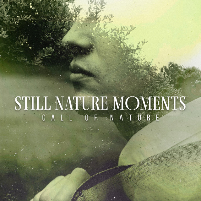 Still Nature Moments - Album by Call Of Nature | Spotify