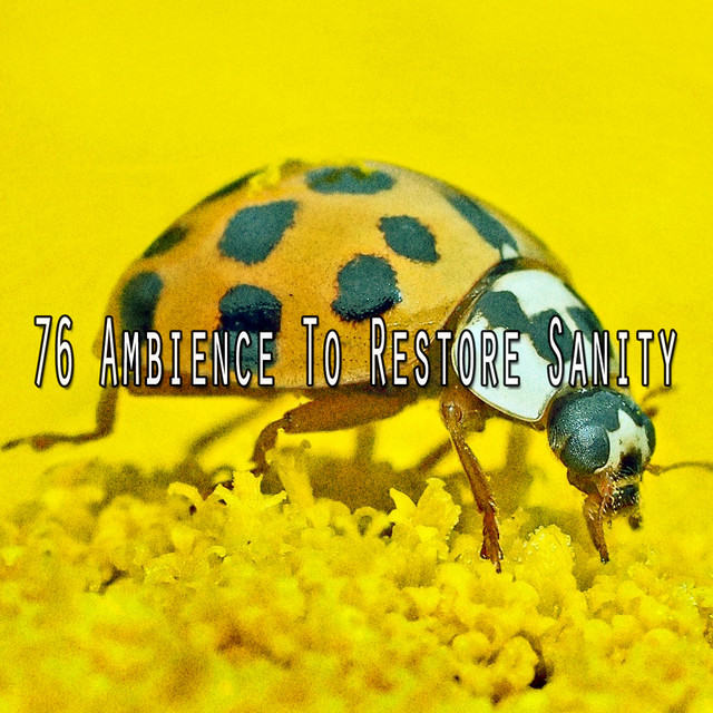 76 Ambience To Restore Sanity - Album by Yoga Music | Spotify