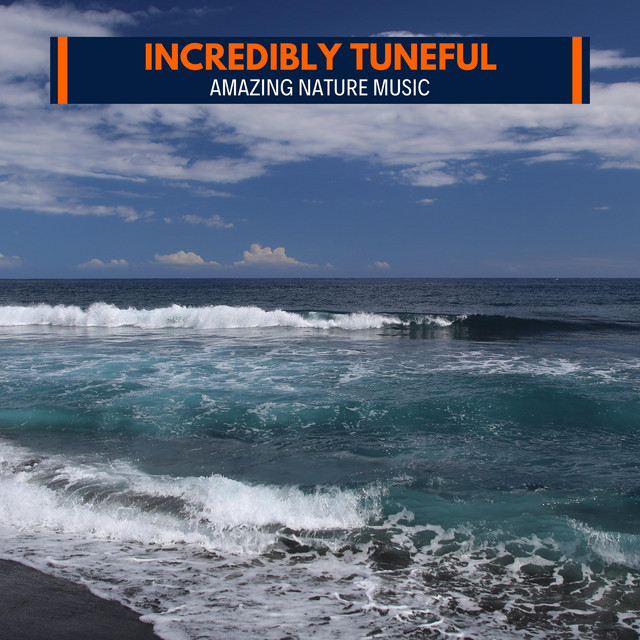 Incredibly Tuneful - Amazing Nature Music - Compilation by Various ...
