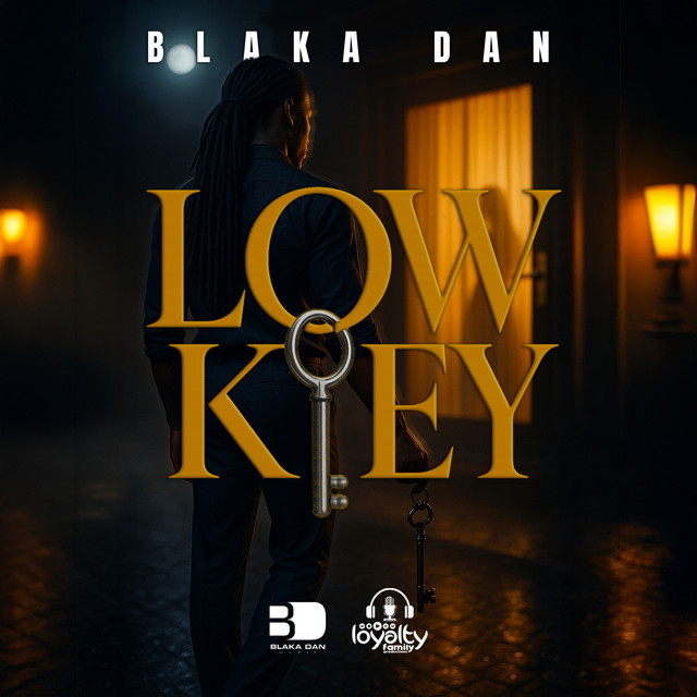 Low Key - Single by Blaka Dan | Spotify