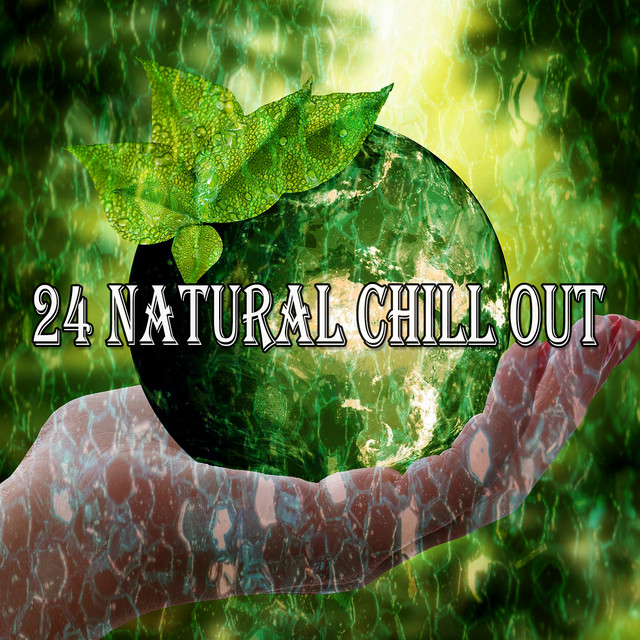 24 Natural Chill Out - Album by Rest & Relax Nature Sounds Artists ...