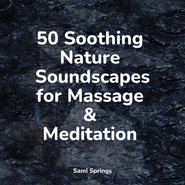 50 Soothing Nature Soundscapes for Massage & Meditation - Album by ...