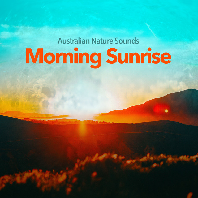 Warbling Rain Birds - song and lyrics by Australian Nature Sounds | Spotify