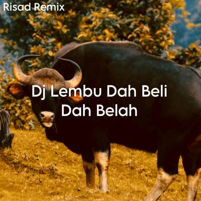 DJ Lembu Dah Beli Dah Belah Mengkane - song by Risad Remix | Spotify