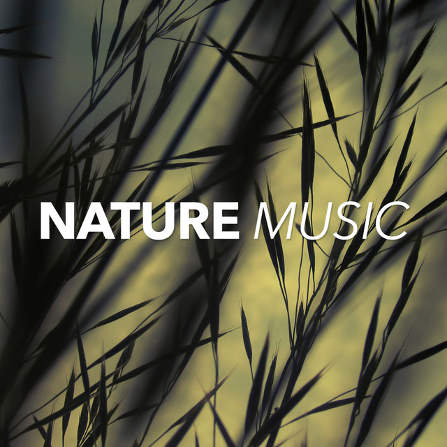 Nature Music - Album by Nature Sounds | Spotify