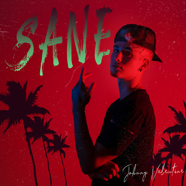 Sane - Single by Johnny Valentine | Spotify