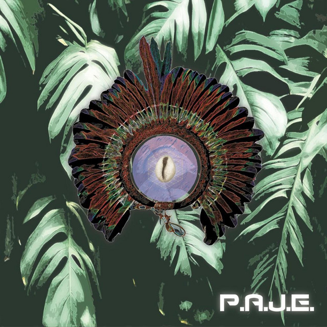 P.A.J.E. | Spotify