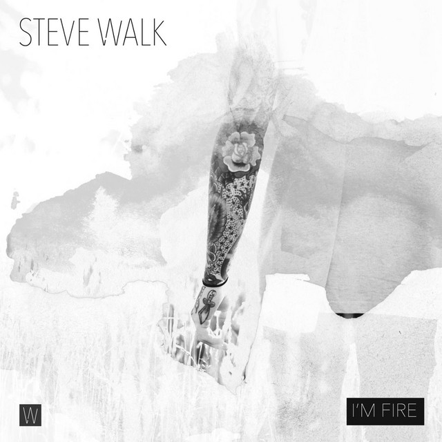 I'm Fire - Single by Steve Walk | Spotify