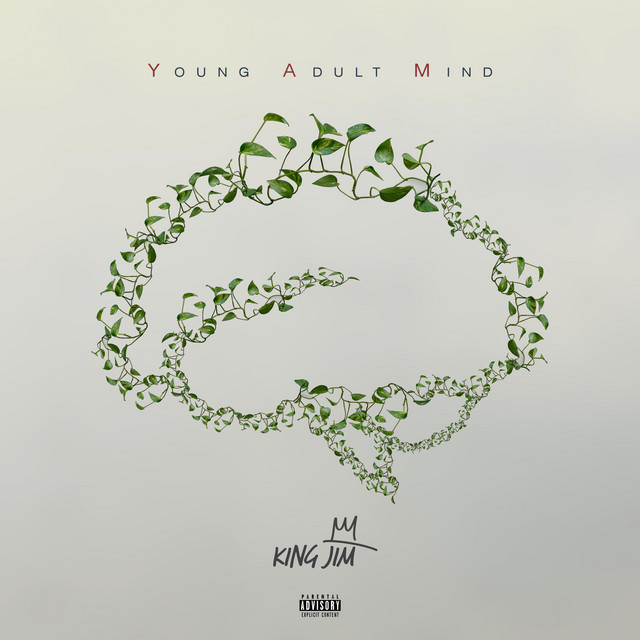 Young Adult Mind - Album by King Jimmy | Spotify
