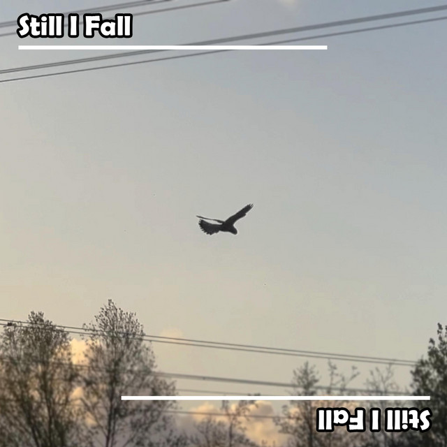 Still I Fall - song and lyrics by MrLowlander | Spotify