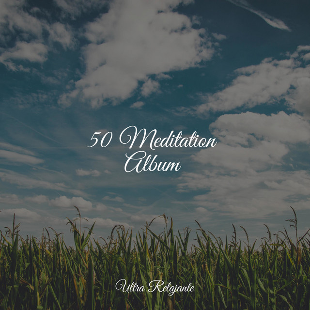 50 Meditation Album - Album by The Sleep Specialist | Spotify