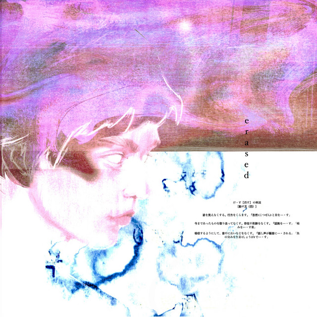 Erased - song and lyrics by SERAPHINE NOIR, Solene | Spotify