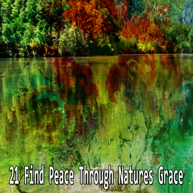 21 Find Peace Through Natures Grace - Album by Sleep Sounds of Nature ...