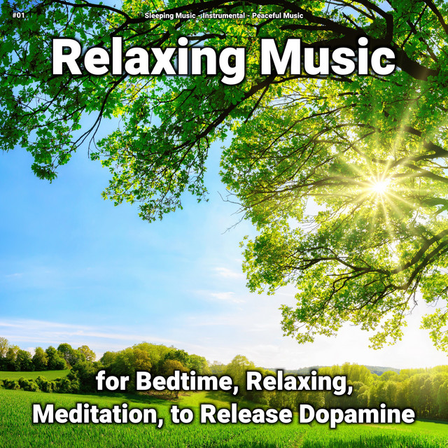  01 Relaxing Music For Bedtime Relaxing Meditation To Release