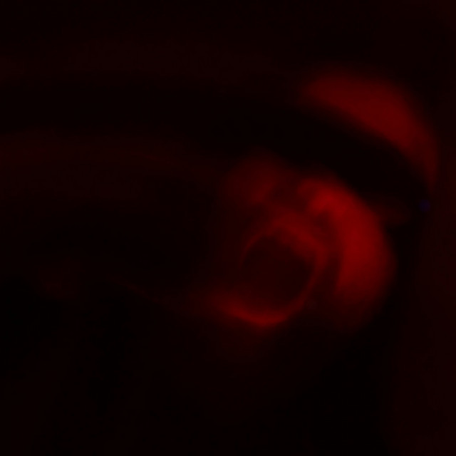 A0N | Spotify