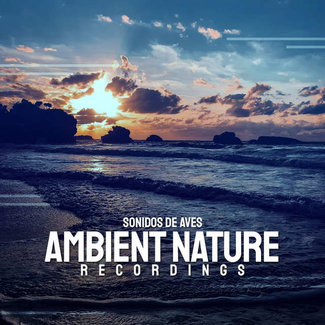 Day Native - song and lyrics by Sonidos De Aves | Spotify