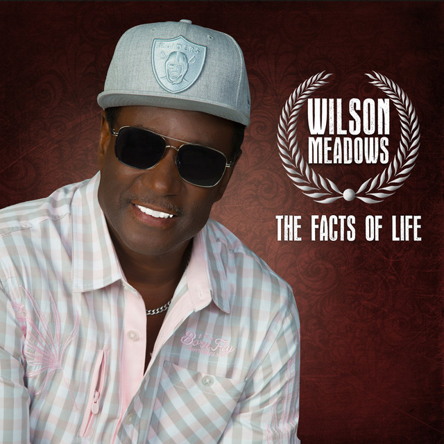 The Facts of Life - Album by Wilson Meadows | Spotify