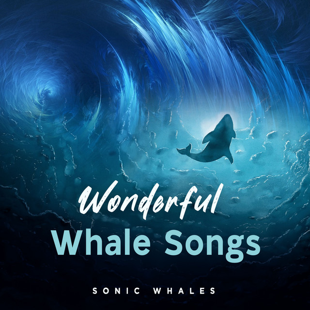 Wonderful Whale Songs - Album by Sonic Whales | Spotify