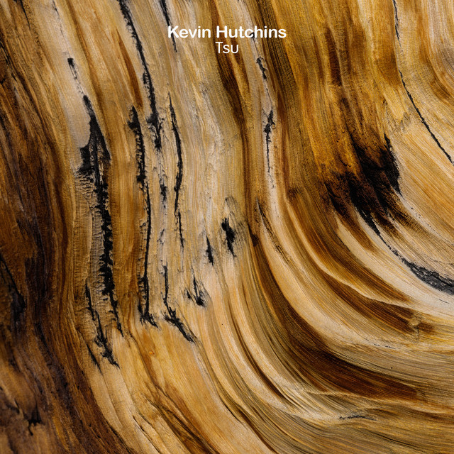 Tsu - Single by Kevin Hutchins | Spotify