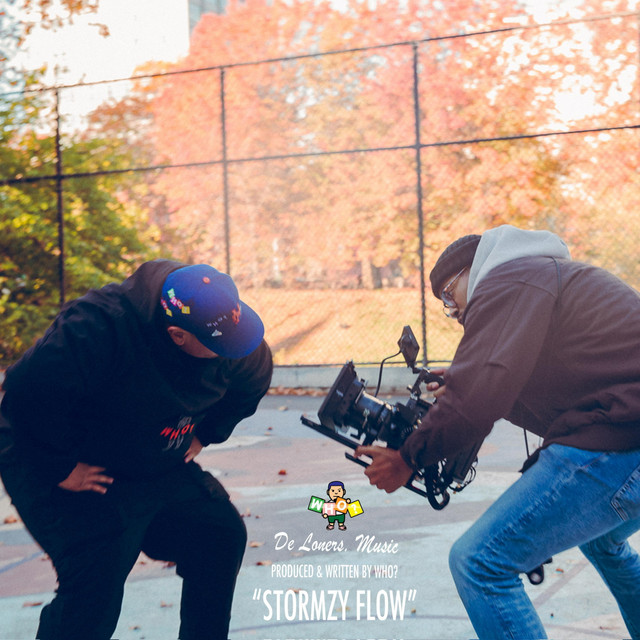 STORMZY FLOW - song and lyrics by Who? | Spotify