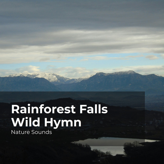 Rainforest Falls Wild Hymn - Album by Nature Sounds | Spotify