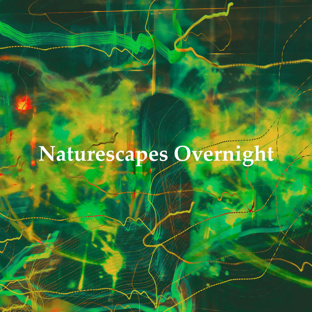 Naturescapes Overnight - Album by Deep Sleep Nature Sounds | Spotify