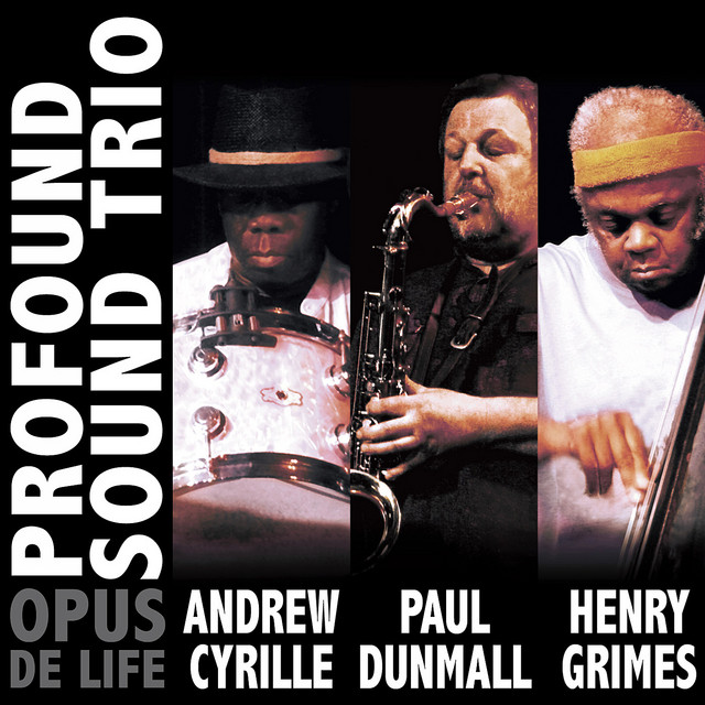 Profound Sound Trio Concert & Tour History | Concert Archives