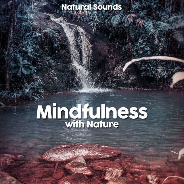 Misty Rain Birdsong - song and lyrics by Natural Sounds | Spotify