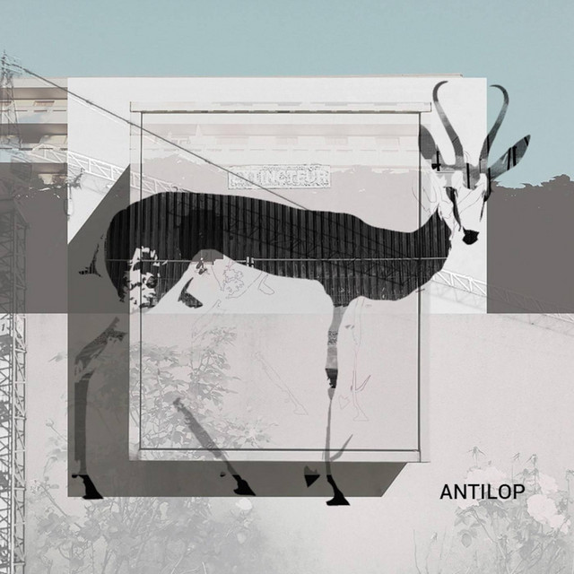 Day Is Gone - song and lyrics by Antilop | Spotify
