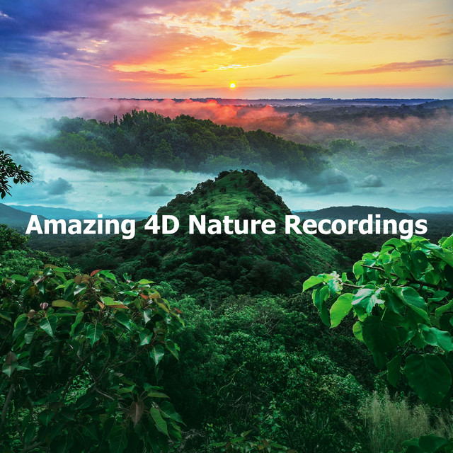 Amazing 4D Nature Recordings - Album by Nature Recordings | Spotify