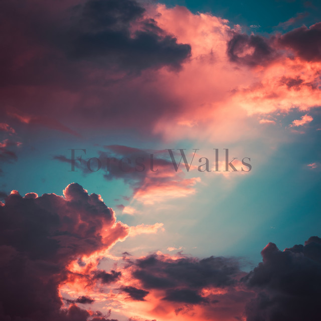 Astral Walk - Meditation - song and lyrics by Forest Walks | Spotify