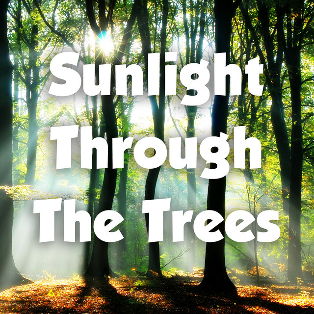 Sunlight Through The Trees (Spa Music for Relaxation, Massage, Yoga ...