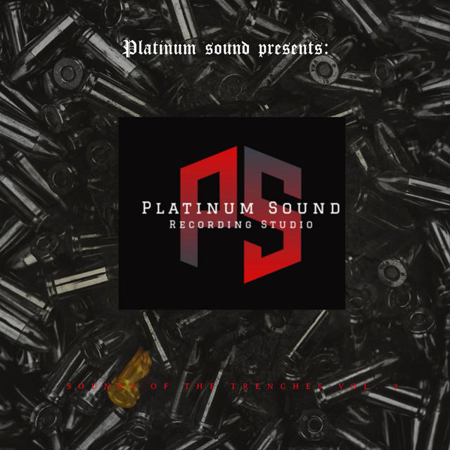 Platinum Sound | Spotify
