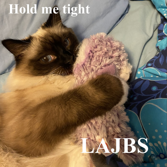 Hold Me Tight - Single by LAJBS | Spotify