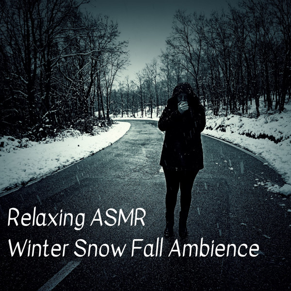Relaxing ASMR Winter Snow Fall Ambience - 1 Hour - Single by Nature on ...