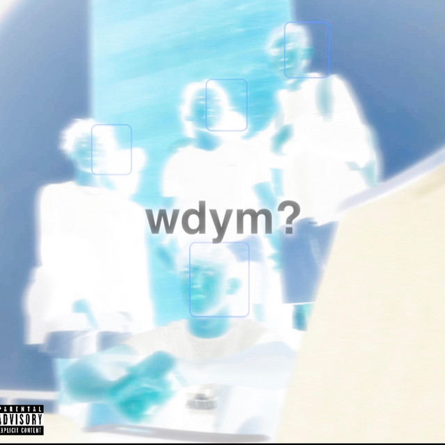 wdym? - Single by DXcM | Spotify
