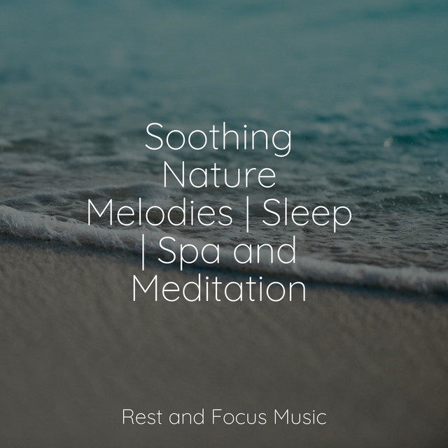 Soothing Nature Melodies | Sleep | Spa and Meditation - Album by Exam ...