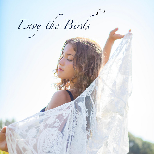 Envy the Birds - Single by Bella Ann | Spotify