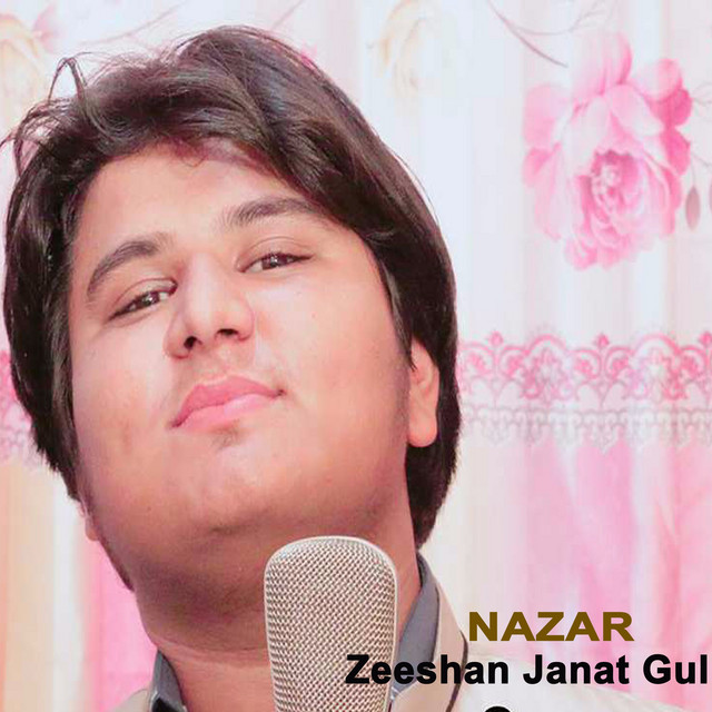 Nazar - Single by Zeeshan Janat Gul | Spotify
