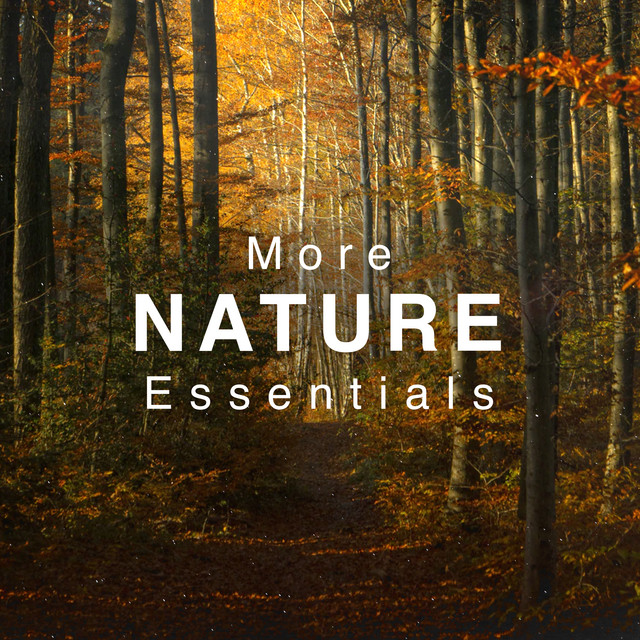 More Nature Essentials ! ! ! ! - Album by Kings of Nature | Spotify