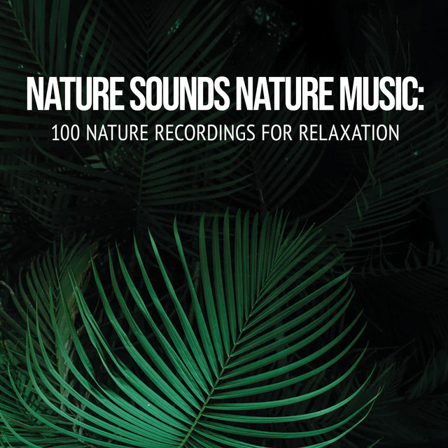 Nature Sounds Nature Music: 100 Nature Recordings for Relaxation ...
