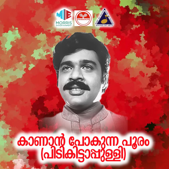 Kaanan Pokunna Pooram (Original Motion Picture Soundtrack) - Single by ...