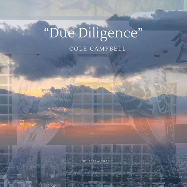 Due Diligence - Single by Cole Campbell | Spotify