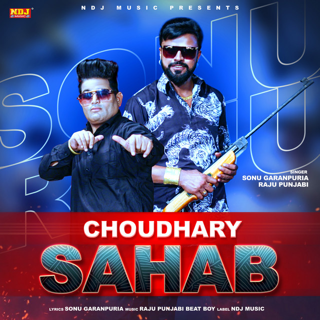 Choudhary Sahab - song and lyrics by Sonu Garanpuria, Raju Punjabi ...