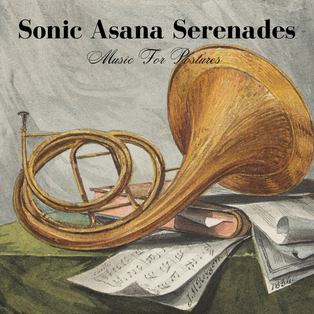 Sonic Asana Serenades: Music For Postures - Album by Intentional Vibes ...