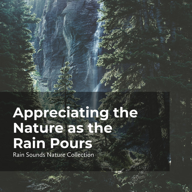 Appreciating the Nature as the Rain Pours - Album by Sleepy Rain | Spotify