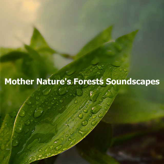 Mother Nature's Forests Soundscapes - Album by Mother Nature Sound FX ...