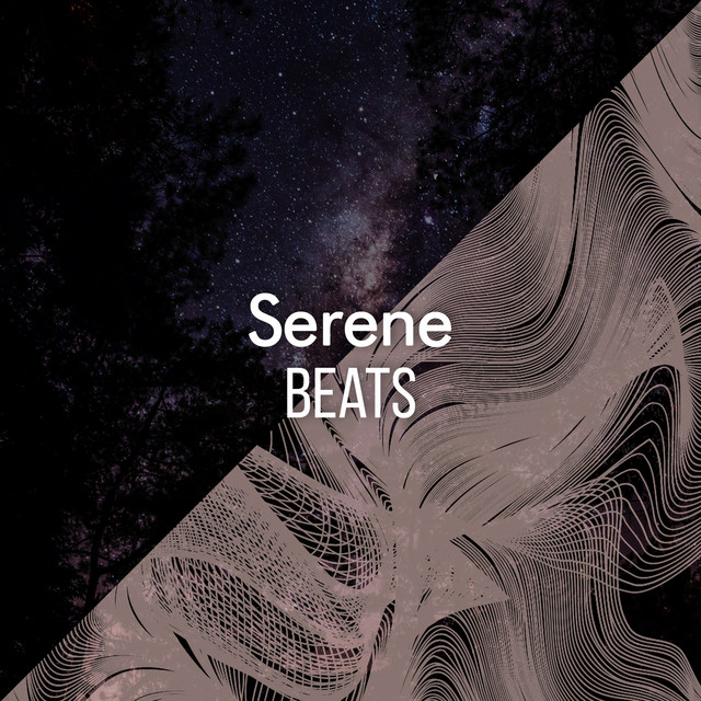 Serene Beats, Vol. 8 - Compilation by Various Artists | Spotify